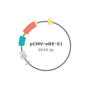 pLentiCRISPR v2 ATXN2 is a gRNA and WT SpCas9 co-expression plasmid ...